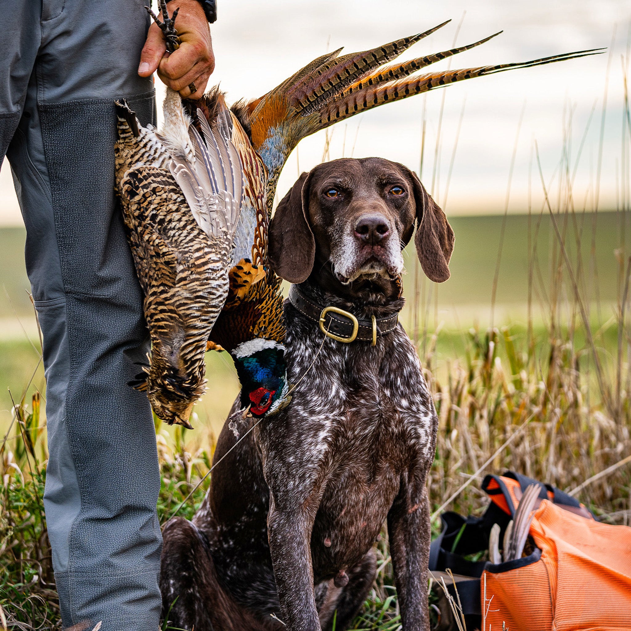 Hunting – Standing Stone Supply