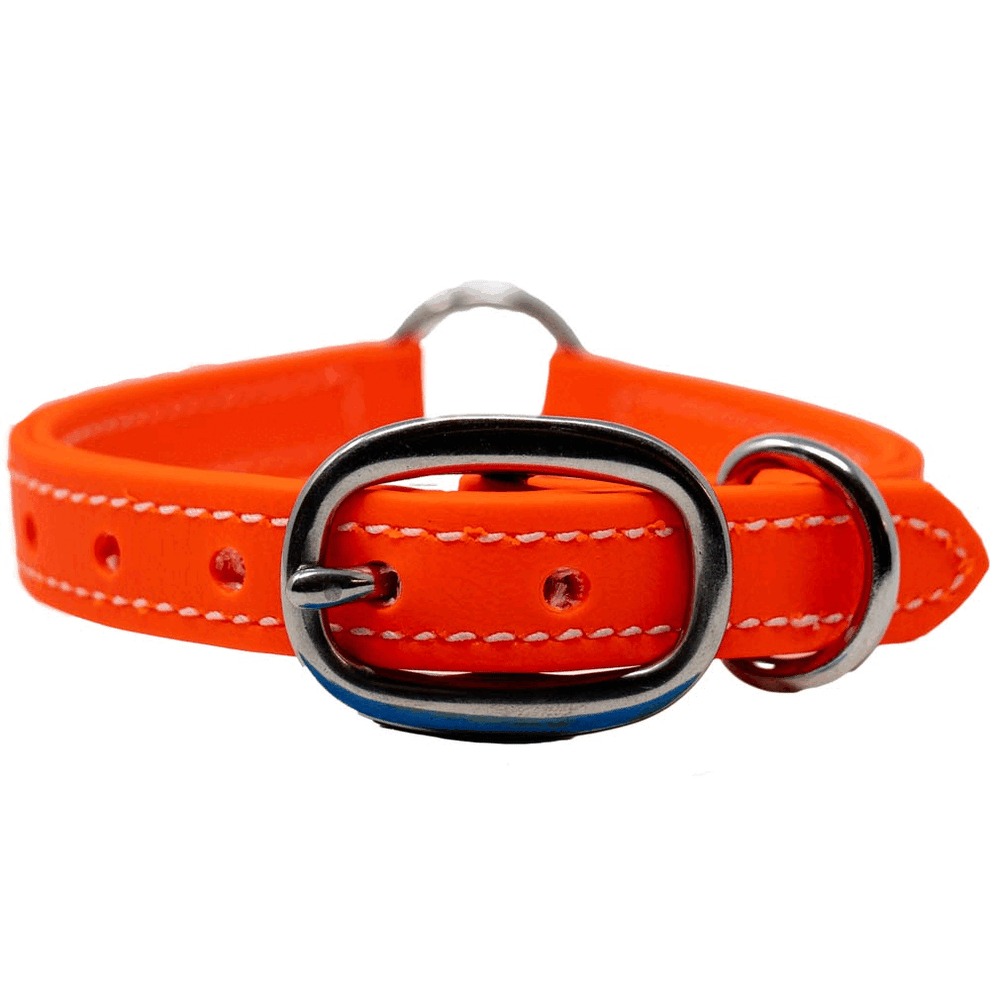 Flat Collar - Biothane – Standing Stone Supply